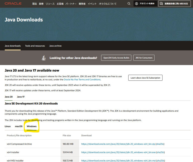 Java初心者のマイクラMOD作り#1：Javaを動かす | 27代目のネコ